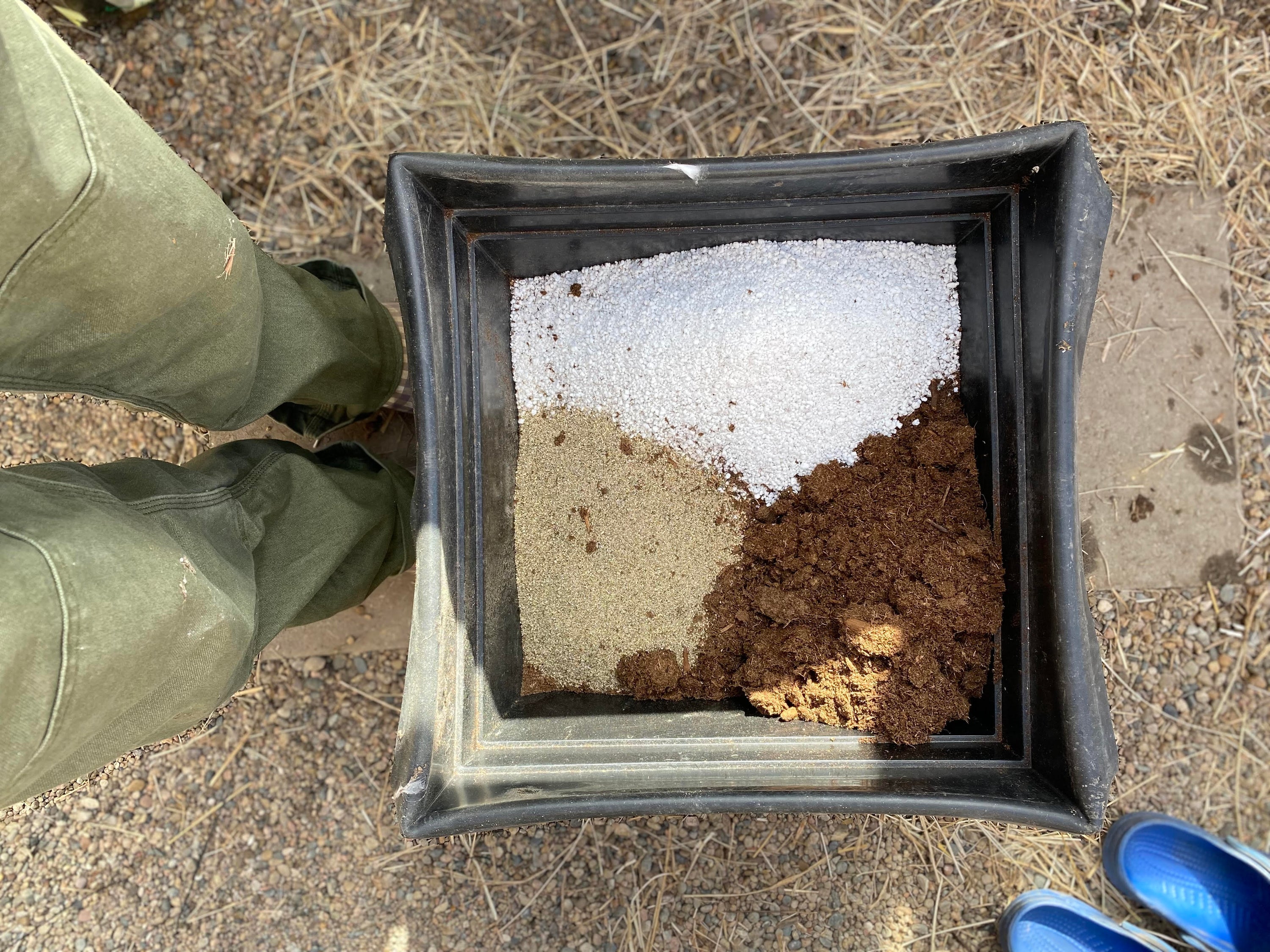 Our Seed Starting Mix – Wild Oak Farms